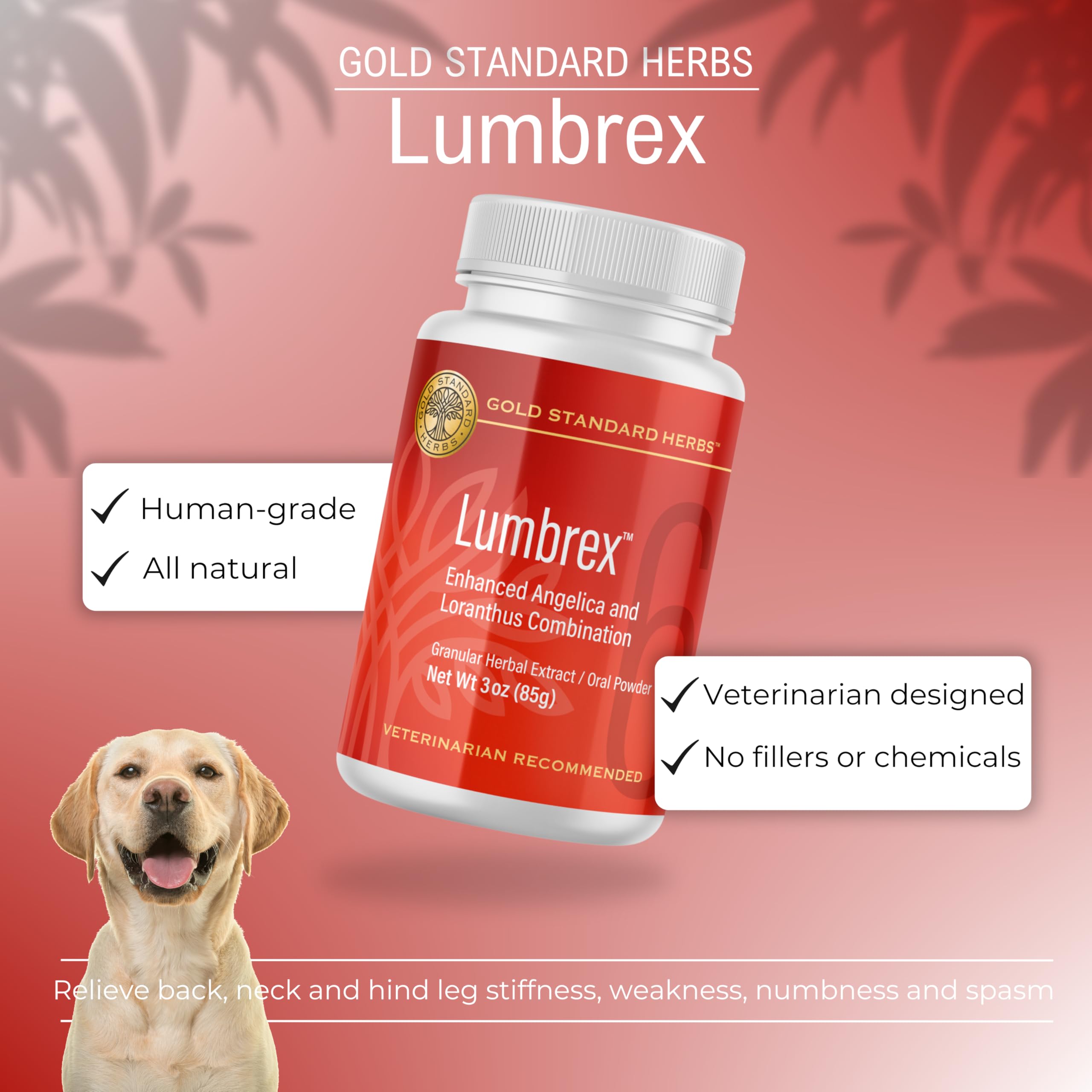 Lumbrex Joint Pain and Stiffness Relief for Dogs by Gold Standard Herbs, All Natural Angelica Root and Loranthus, 85 gram powder, White