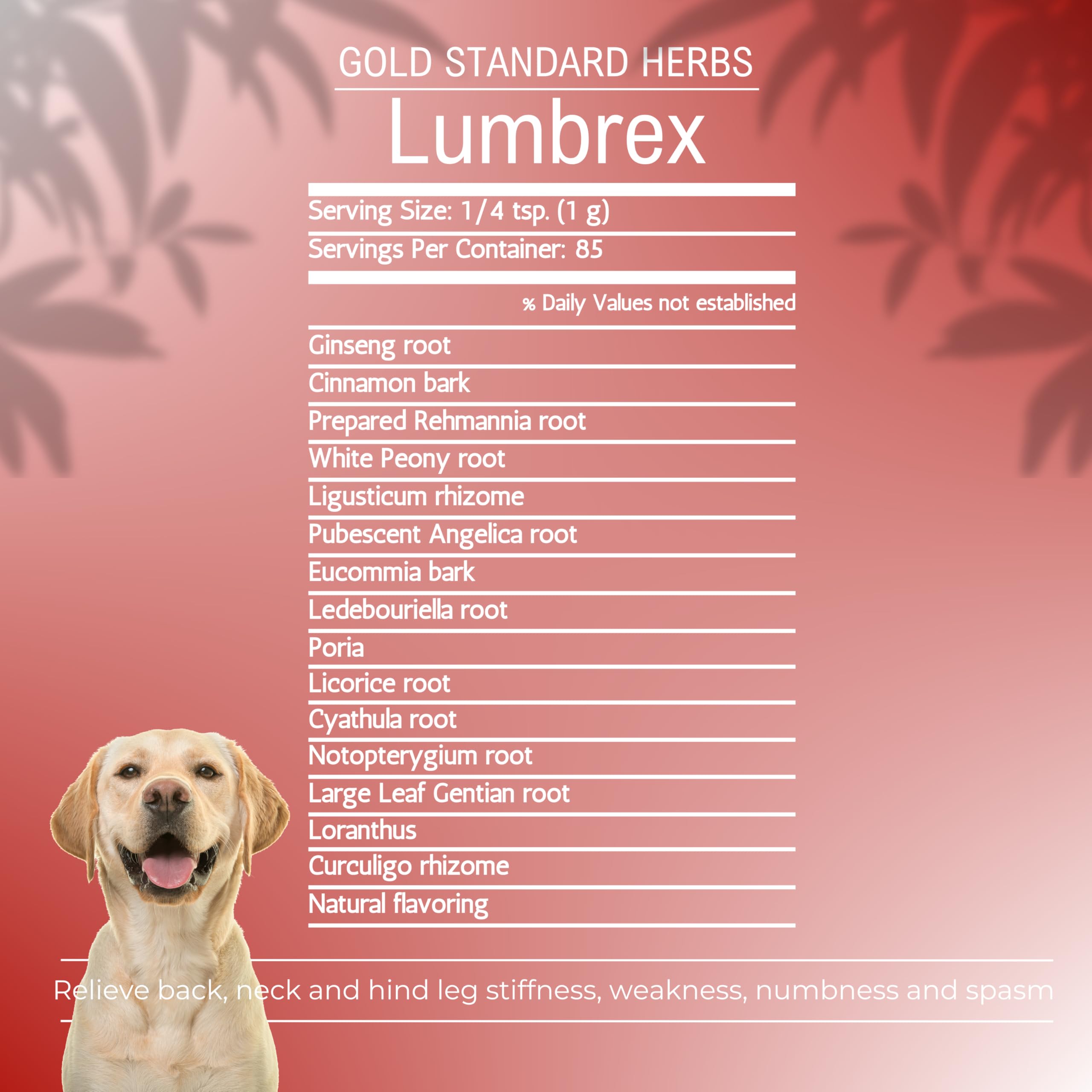 Lumbrex Joint Pain and Stiffness Relief for Dogs by Gold Standard Herbs, All Natural Angelica Root and Loranthus, 85 gram powder, White