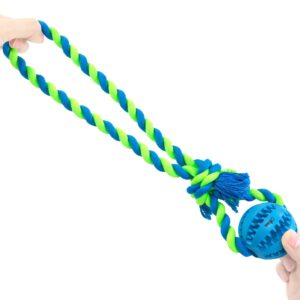 CHIWAVA 2 Pack 2" Dog Training Ball on Rope, Rubber Rope Dog Toys Ball with Handle for Tug of War Training Rewards for Small Dogs