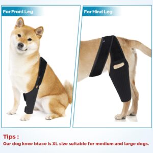 Ceuku Dog Knee Brace for ACL Hind Leg, Dog Leg Braces for Back Leg with Metal Spring Support, ACL Brace for Dogs Rear Leg Tear CCL with Dog Pull Collar, Support for Medium and Large Dogs（Size XL）