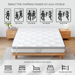 Queen Mattress,10 Inch Hybrid Mattress,Pocket Spring for Good Support,Queen Bed Mattress in A Box, Cooler Sleep & Pressure Relief,CertiPUR-US Certified,10 Year Warranty,120 Nights Risk-Free Trial