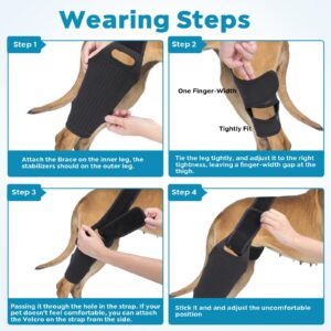 Ceuku Dog Knee Brace for ACL Hind Leg, Dog Leg Braces for Back Leg with Metal Spring Support, ACL Brace for Dogs Rear Leg Tear CCL with Dog Pull Collar, Support for Medium and Large Dogs（Size XL）