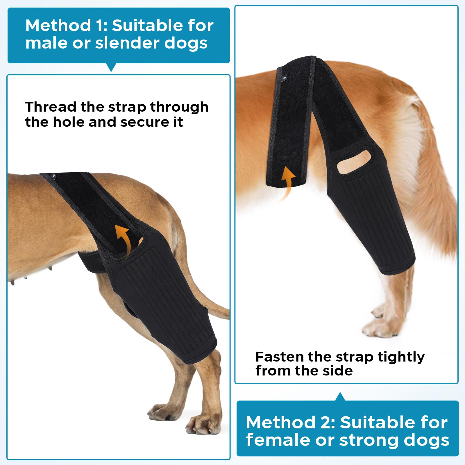 Ceuku Dog Knee Brace for ACL Hind Leg, Dog Leg Braces for Back Leg with Metal Spring Support, ACL Brace for Dogs Rear Leg Tear CCL with Dog Pull Collar, Support for Medium and Large Dogs（Size XL）