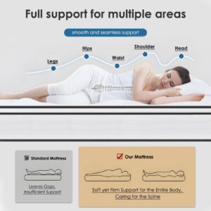 Queen Mattress,10 Inch Hybrid Mattress,Pocket Spring for Good Support,Queen Bed Mattress in A Box, Cooler Sleep & Pressure Relief,CertiPUR-US Certified,10 Year Warranty,120 Nights Risk-Free Trial