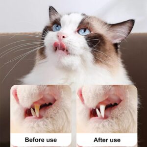 Cat Teeth Care Products Pet Toothbrush Dental Cleaning Kit for Cats Dogs Ultra-soft Bristles Oral Tool to Prevent Plaque Tartar Blue