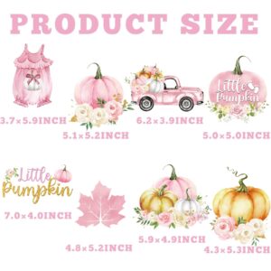 Little Pumpkin Baby Shower Decorations, Girl Pink Pumpkin Baby Shower Decorations includes a Little Pumpkin Is On The Way Banner and A Little Pumpkin Is On Her Way Baby Shower Hanging Swirls