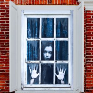 Halloween Window Decorations 31.5x47.2" Window Door Wall Cover Scary Halloween Decorations Indoor Outdoor Party Decor