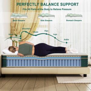 JEEKEA Full Size Mattress in a Box - 14 Inch Full Size Memory Foam Mattress - Hybrid Mattress Full for Back Pain Relief - Medium Firm Full Bed Mattress with Motion Isolation & Strong Edge Support