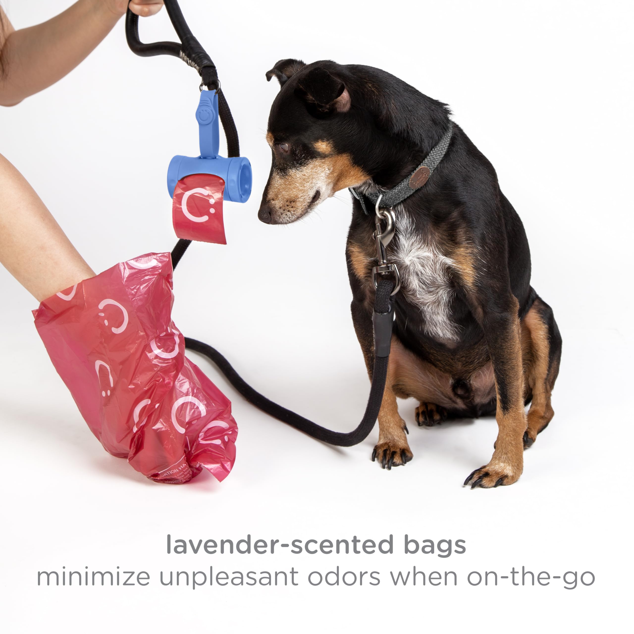 Ubbi Retractable Dog Poop Bag Holder and Dispenser with Silicone Strap Leash Attachment, Includes 2 Rolls of Lavender Scented Leakproof Waste Bags, Blue