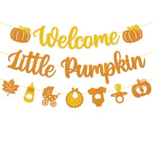 welcome little pumpkin banner pumpkin baby shower party decorations for baby boy girl autumn happy fall thanksgiving gender reveal party supplies