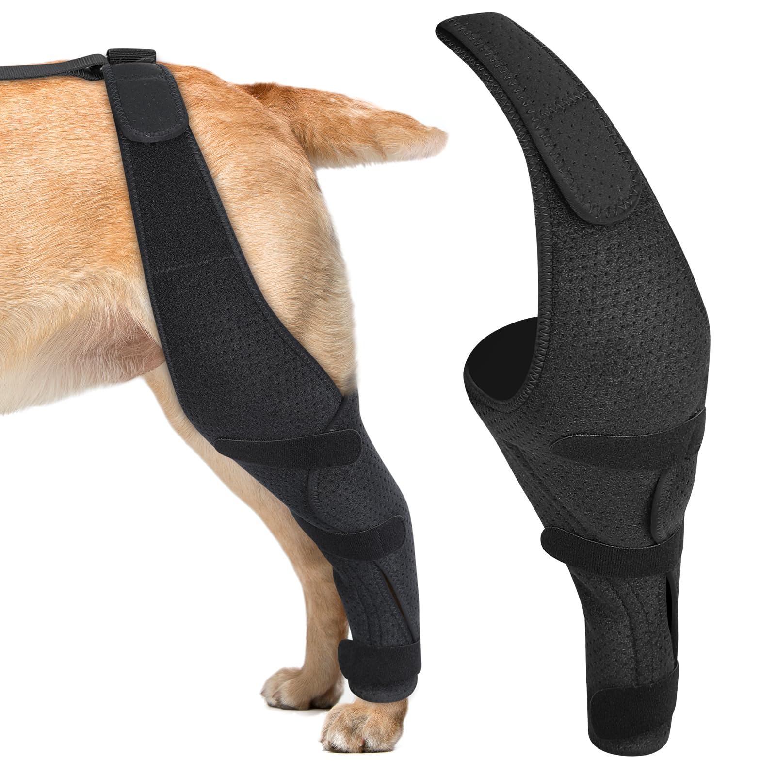 Domagiker Dog Knee Brace - Knee Cap Dislocation for ACL, CCL, Cruciate Ligament Injury, Joint Pain and Muscle Sore, Dog Rear Legs Bracer with Metal Side Stabilizers (Black-Left, Medium)