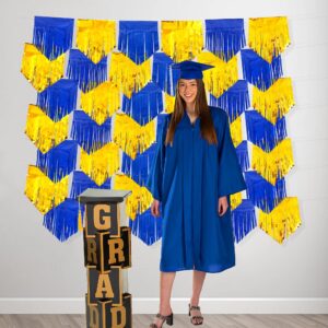 Royal Blue Gold Tassel Backdrop Tissue Paper Metallic Foil Fringe Tinsel Garland Streamers Bunting Banner for Graduation Birthday Anniversary Bachelorette Wedding Engagement Party Decorations Supplies