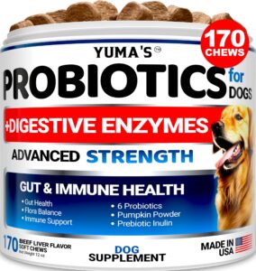 probiotics for dogs and digestive enzymes - 170 dog probiotics chews - dog probiotic - anti diarrhea, upset stomach & gas relief, canine prebiotic - pet fiber supplement - beef liver flavor