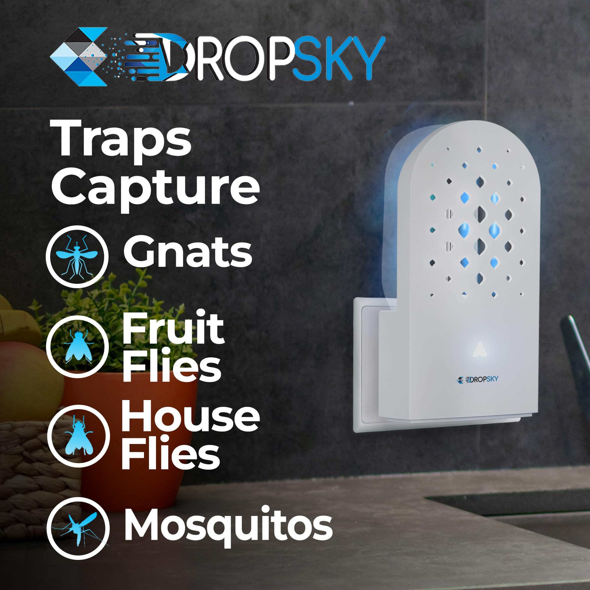 Dropsky Indoor Flying Insect Trap - Plug-in Bug Light Trap for Fruit Flies, Gnats and Houseflies - Odorless and Mess Free (2 Traps + 2 Glue Cards)