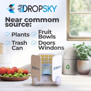 Dropsky 360 Portable Flying Insect Trap, Gnat Traps for House Indoor & Outdoor- Higher Coverage Blue Light Fly Trap- Get Rid of Flies- Safe for Pets & Kids- 2 Traps + 6 Glue Cards+ USB+Cable Charger​