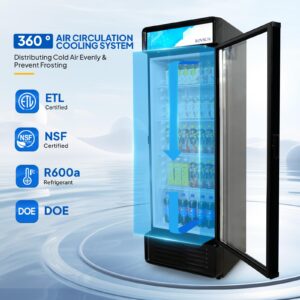 Leadzm 12.2 Cu.Ft Commercial Display Refrigerator NSF ETL Certified, Commercial Beverage Cooler Merchandiser Drink Fridge w/Automatic Defrosting LED Lighting Single Glass Door for Bar Restaurant Cafe