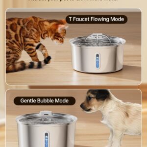 Cat Water Fountain Stainless Steel, 3.2L/108Oz Pet Water Fountain for Drinking, Automatic Metal Dog Water Dispenser Bowl with Quiet Pump, Dual-Stream, Filtration for Cats, Dogs, Multiple Pets Indoor