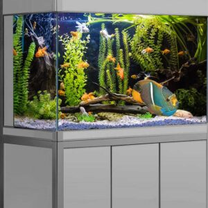 Dizifinn Aquarium Background, River Bed & Lake Tropical Undersea Tree Branch Aquatic Plant Fish Tank Background, 6 EVA Double-Sided Tapes 36x18 inches/90x45