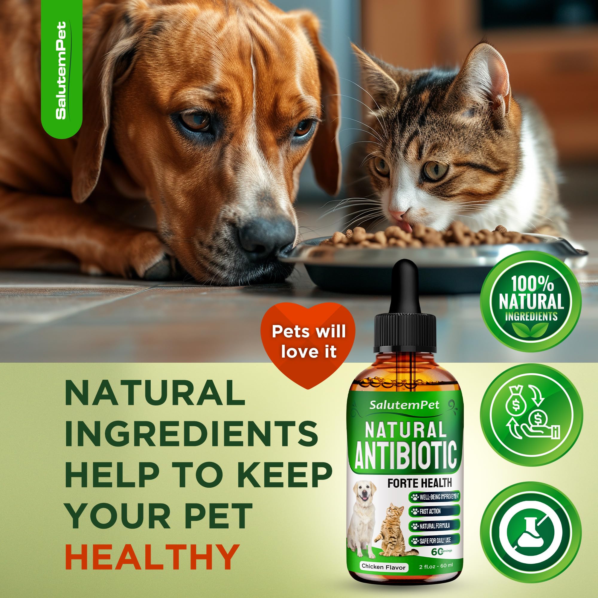 Dog Antibiotics | Antibiotics for Dogs & Cats | Cat Antibiotic | Forte Health | Natural Antibiotics for Dogs and Cats | Antibiotics for Cats | Chicken Flavor | 2 Oz