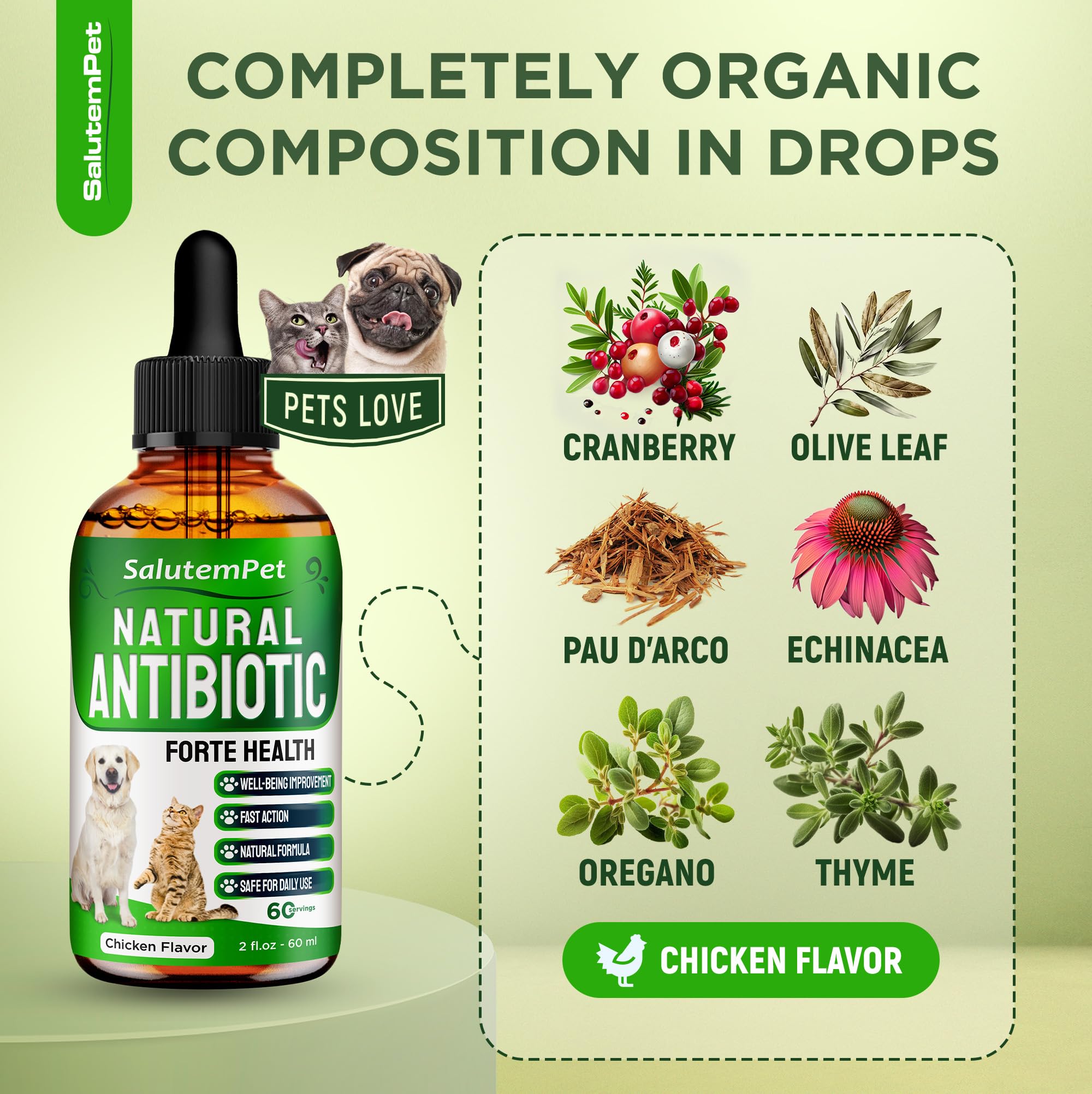 Dog Antibiotics | Antibiotics for Dogs & Cats | Cat Antibiotic | Forte Health | Natural Antibiotics for Dogs and Cats | Antibiotics for Cats | Chicken Flavor | 2 Oz