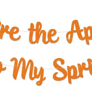 You're the Aperol to My Spritz Banner - Spritz O’Clock Bridal Shower Sign, Spritz Bar, Lemon Citrus Theme Bride to Be Wedding Engagement Party Decor Orange Glitter