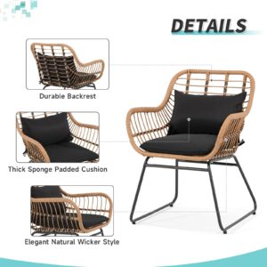 Verano Garden Patio Dining Chair Set of 2, Outdoor Wicker Seating Set with Soft Cushions for Indoor & Outdoor Use, Modern Wicker Dining Chairs for Backyard