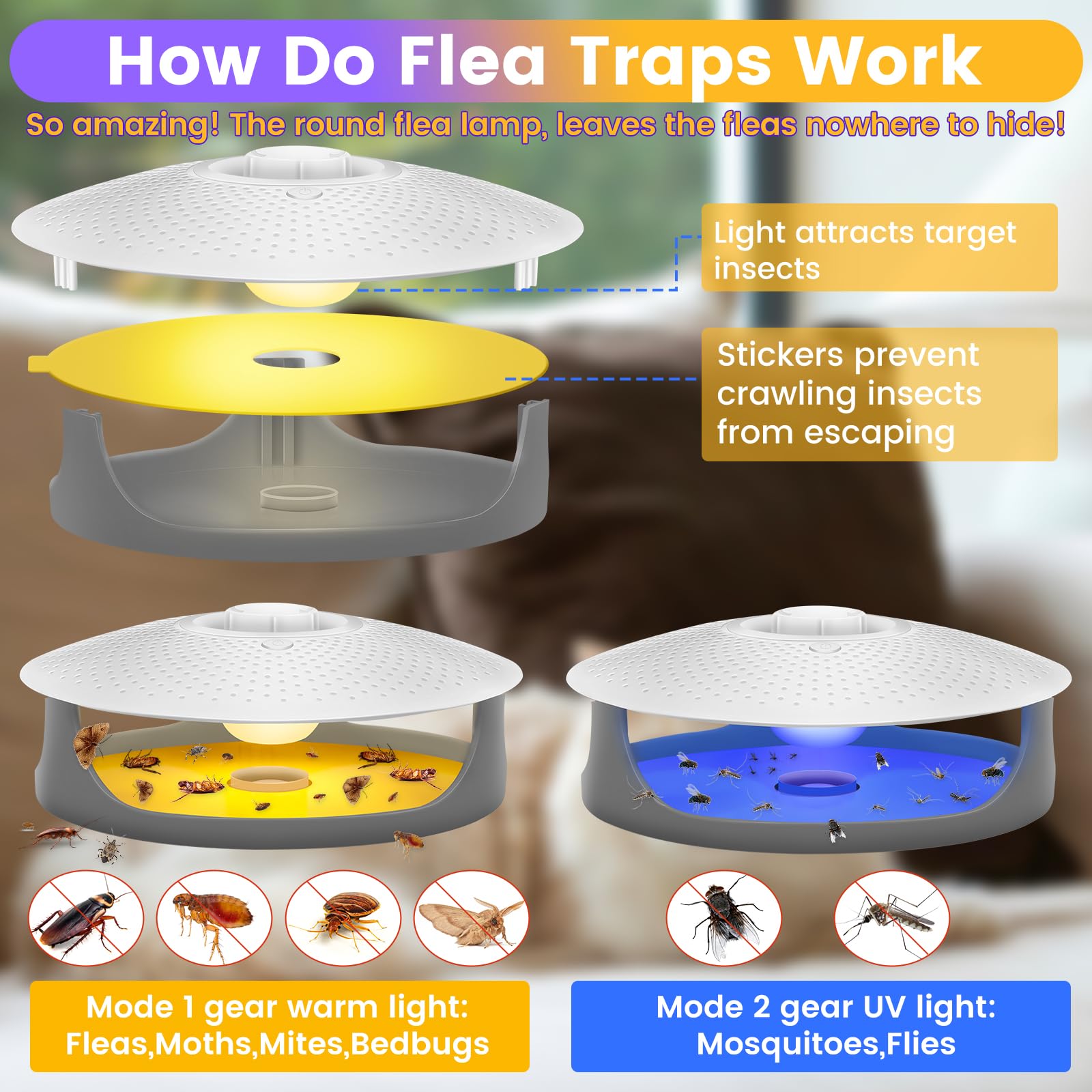 HiAnifri Flea Traps for Inside Your Home,Flea Killer for Home with Sticky Pads,Easy to Use 2 LED Light Modes Flea Light Trap for Indoor Outdoor, Effective Flea Home Treatment for House