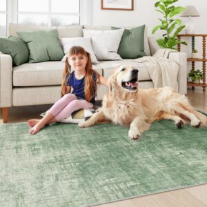 Lahome Green 5x7 Area Rugs,Boho Washable Living Room Rug Soft Bedroom Rug, Modern Abstract Ombre Non-Slip Low-Pile Throw Carpet for Dining Room Office Entryway(5'x7',Green)