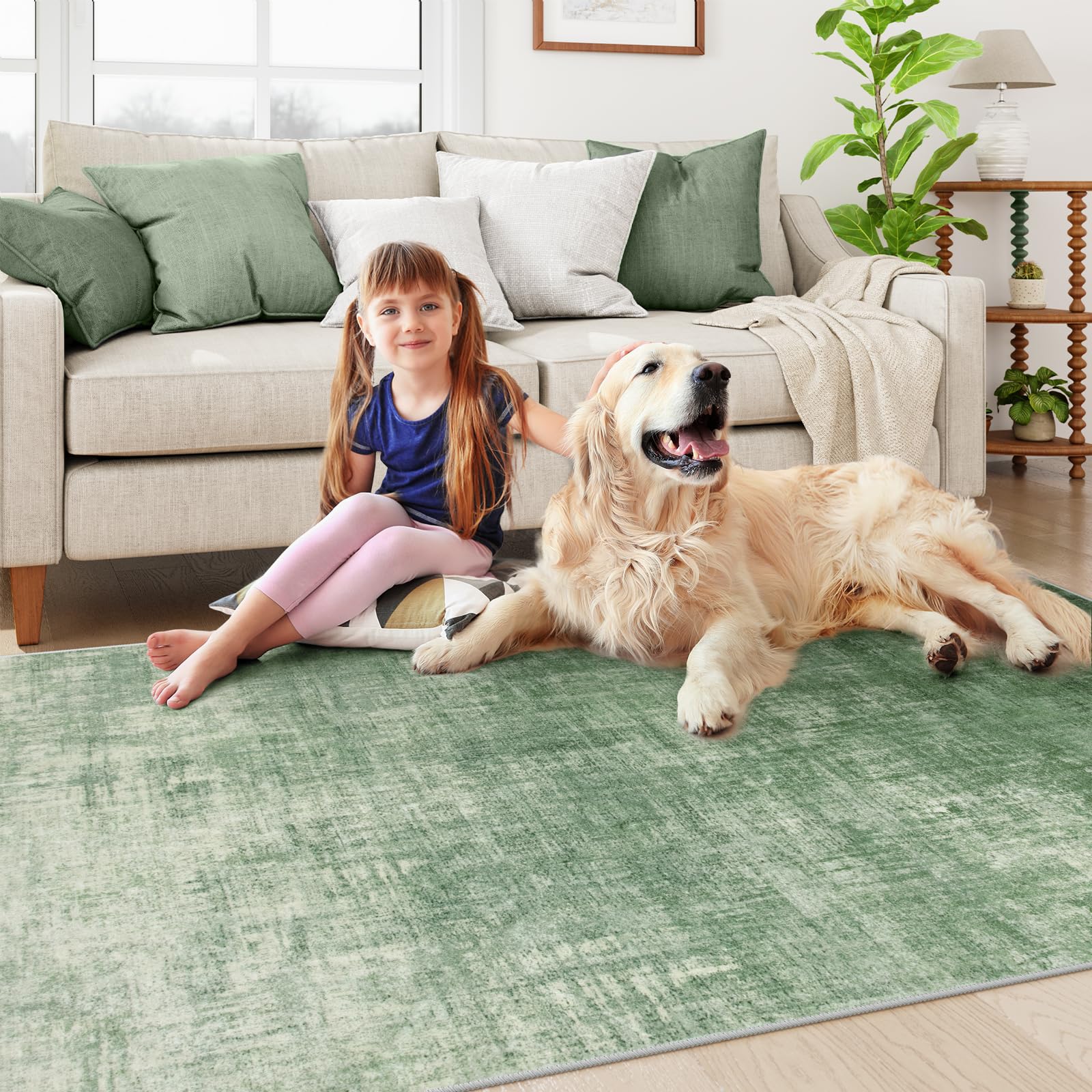 Lahome Green 5x7 Area Rugs,Boho Washable Living Room Rug Soft Bedroom Rug, Modern Abstract Ombre Non-Slip Low-Pile Throw Carpet for Dining Room Office Entryway(5'x7',Green)