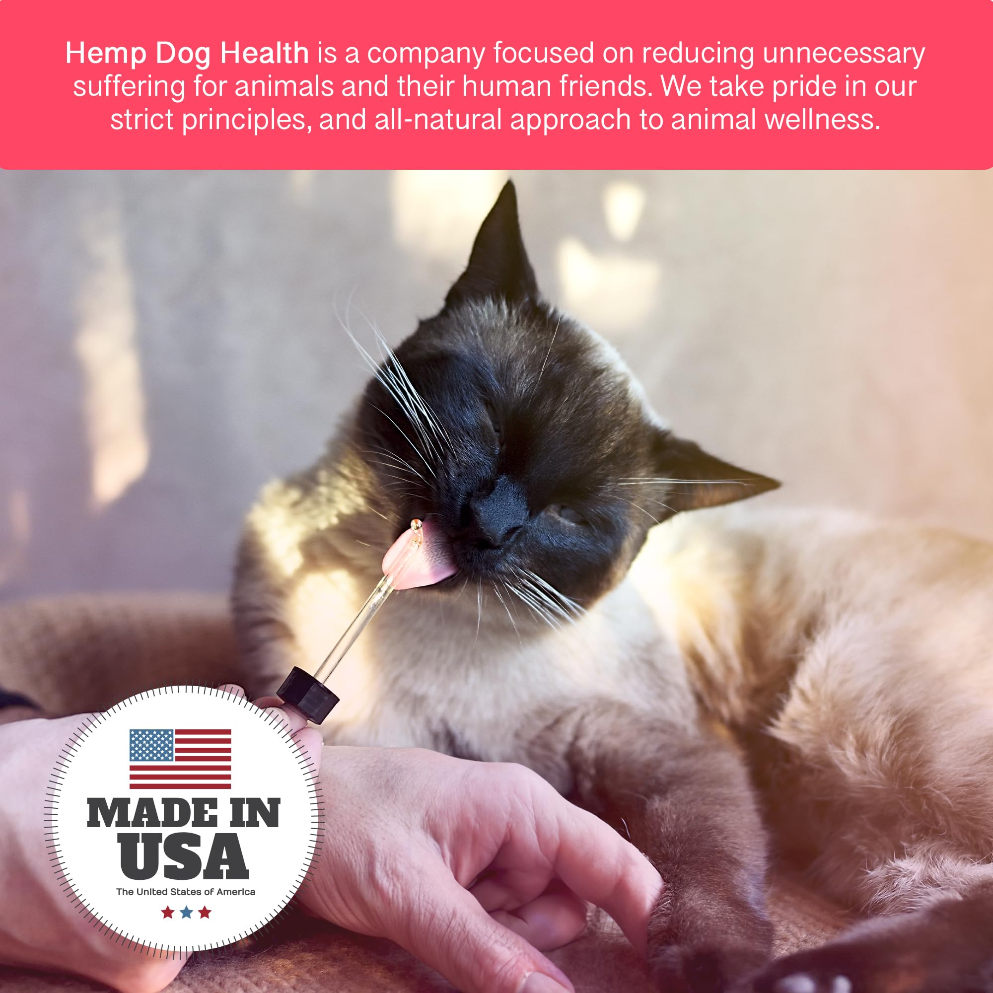 Hemp Dog Health Ease Hemp Oil for Cats: Joint and Muscle Pain Relief for Cats | Cat Arthritis Pain Relief | Cat Allergy Relief | Effective Anti Itch for Cats | Easy-to-Give Hemp Drops for Cats