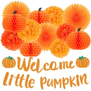 little pumpkin baby shower decorations include little pumpkin banner pumpkin honeycomb balls tissue pom poms flowers paper fans for fall theme baby shower little pumpkin birthday party decoration