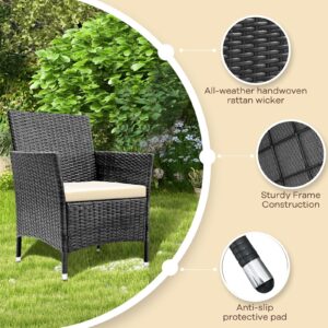 TINKLE WELL Outdoor Patio Furniture Sets, 4 Pieces Rattan Chairs Wicker Conversation Set with Tempered Glass Table, Cushion, for Yard, Garden, Poolside, Porch, Bistro, Balcony