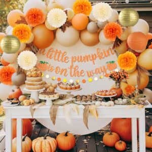 Kriyokiaa Little Pumpkin Baby Shower Decorations 14 Pcs Fall Baby Shower Decorations with A Little Pumpkin Is On The Way Banner, Tissue Pom-Poms, Paper Lantern