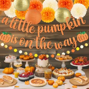 Kriyokiaa Little Pumpkin Baby Shower Decorations 14 Pcs Fall Baby Shower Decorations with A Little Pumpkin Is On The Way Banner, Tissue Pom-Poms, Paper Lantern