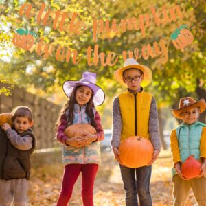 Orange Glitter "A Little Pumpkin Is On The Way" Banner - Pumpkin Baby Shower Banner, Fall Themed Gender Reveal Decorations, Thanksgiving Autumn Garland Photo Prop for Indoor Outdoor Party Supplies