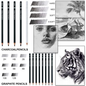 Charcoal Pencils for Drawing, Set of 22, Professional Drawing Sketch Pencils, Art Supplies for Drawing, Sketching, Shading, Artist Pencils for Beginners & Pro Artists.