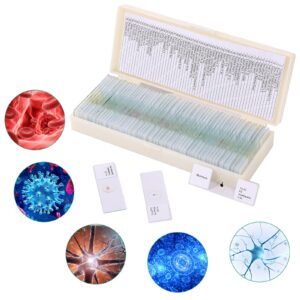 oozstar 60 pieces prepared microscope slide set with specimens, plant animal cell science education microscope slides for bioscience labs