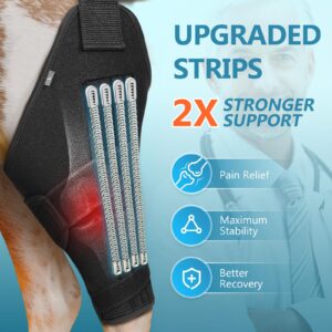 CAMRIER 2X Support Dog Knee Brace with Metal Strips for Joint Pain Relief, Dog Leg Braces for Torn Acl Hind Leg, Rear Leg Brace with Adjustable Traction Belt for Cruciate Ligament Injury, Arthritis