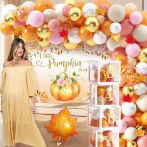 Little Pumpkin Fall Baby Shower Party Decorations Thanksgiving Party Decorations Autumn Pumpkin Party Supplies with Pumpkin Balloons Garland Arch Kit Baby Balloon Boxes Backdrop Thanksgiving Decor