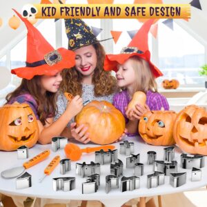 Pumpkin Carving Kit, Halloween Pumpkin Carving Tools, 31Pcs Stainless Steel Pumpkin Carver Set for Halloween Decoration Jack-O-Lanterns, Easy & Safe DIY Pumpkin Carving Stencils for Kids Adults