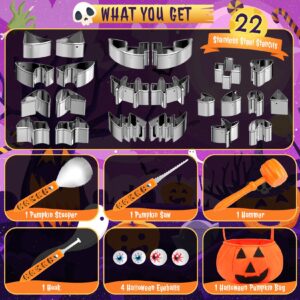 Pumpkin Carving Kit, Halloween Pumpkin Carving Tools, 31Pcs Stainless Steel Pumpkin Carver Set for Halloween Decoration Jack-O-Lanterns, Easy & Safe DIY Pumpkin Carving Stencils for Kids Adults