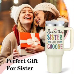 Rimasol Sister Tumbler Sister Gifts for Women You Are The Sister I Got to Choose 40oz Tumbler with Handle Christmas Birthday Gift for Soul Sister Friendship Gifts for Woman Sisters Gifts from Sister