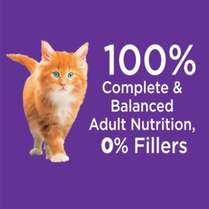 P L-RA IMS Proactive Health Healthy Kitten Dry Cat Food with Chicken, Omega-3 DHA, 100% Complete and Balanced Nutrition, 7 lb. Bag