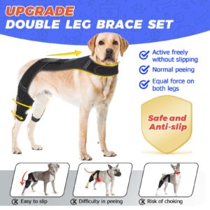 Dog Knee Brace for Torn ACL Hind Legs, Anti-slip Dog Leg Braces for Back Legs with Comfort Vest, Strong Support Dog ACL Hip Brace with 2 Metal Strips and Adjustable Belt for Cruciate Ligament Injury