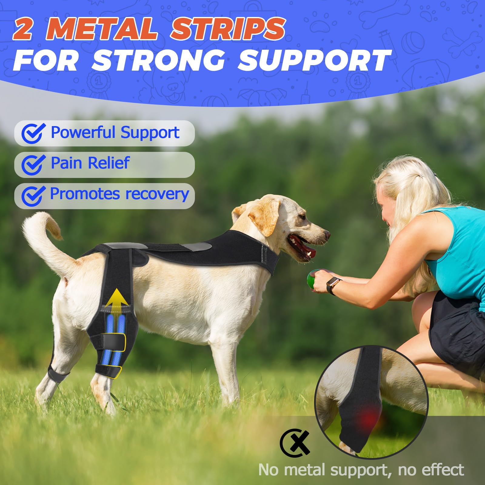 Dog Knee Brace for Torn ACL Hind Legs, Anti-slip Dog Leg Braces for Back Legs with Comfort Vest, Strong Support Dog ACL Hip Brace with 2 Metal Strips and Adjustable Belt for Cruciate Ligament Injury