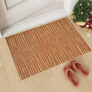 ojia indoor door mat 2'x3' small door rugs for entryway washable farmhouse fall bathroom rug kitchen rug, cotton woven entry rug front door mats entrance rustic throw rugs for doorway bedroom