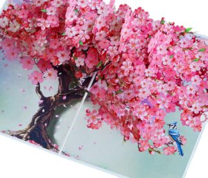 pq bees pop up birthdays card for women mom grandma wife | 3d mother’s day anniversary get well soon thank you valentines day card (size 6x8 in – cherry blossom bluejay bird).