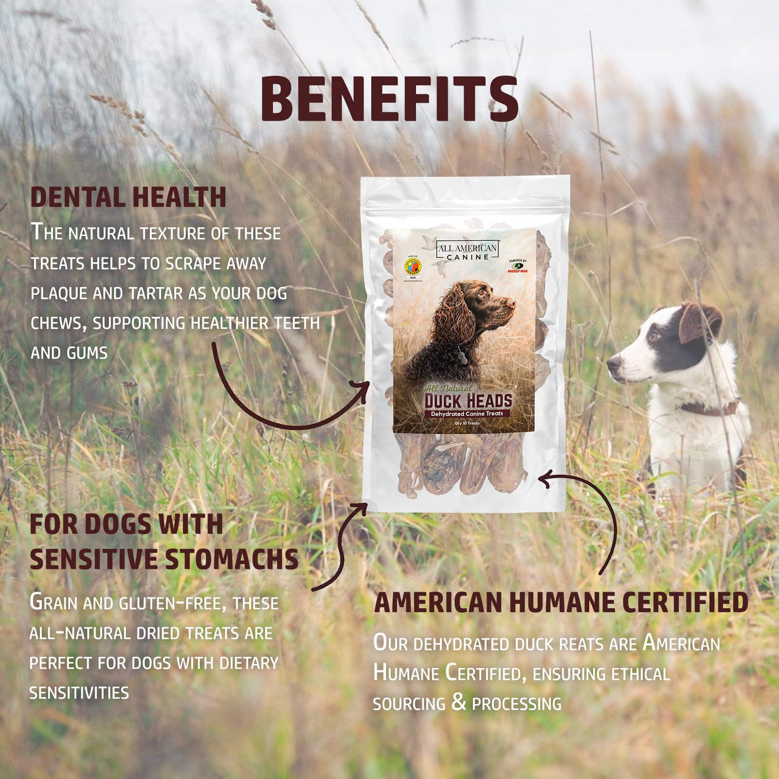 All American Canine Duck Heads Natural Single Ingredient Chewy Digestible Low-Fat Dehydrated Dog Treats for Training, Rewarding, Teeth Cleaning - 10 Treats