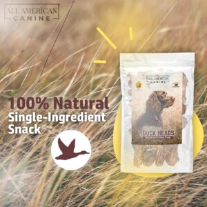 All American Canine Duck Heads Natural Single Ingredient Chewy Digestible Low-Fat Dehydrated Dog Treats for Training, Rewarding, Teeth Cleaning - 10 Treats