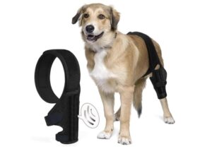 dog knee brace for torn acl hind leg - adjustable leg support for hip dysplasia, dog arthritis, inflammation, luxating patella - comfortable and durable dog leg braces for back leg - black (small)